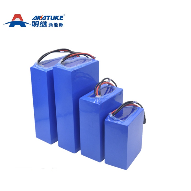 Customized small lifepo4 battery packs for project